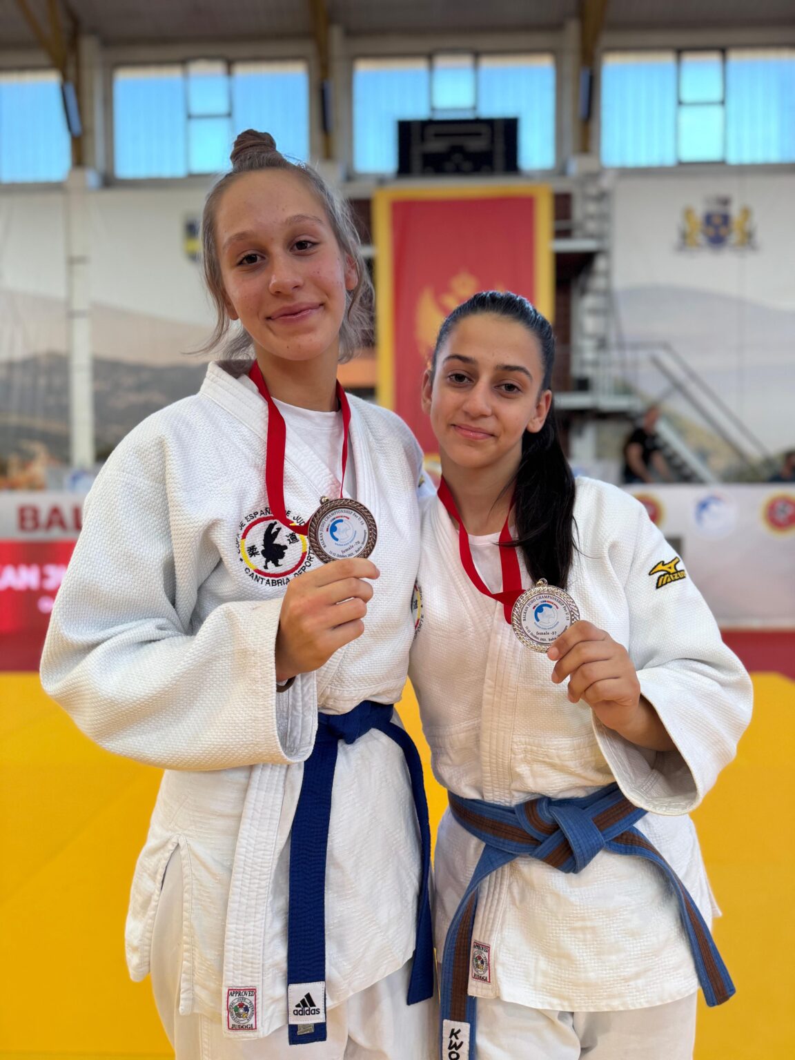 Kontinuitet Borsinih rezultata na službenim natjecanjima: Čuljak ...